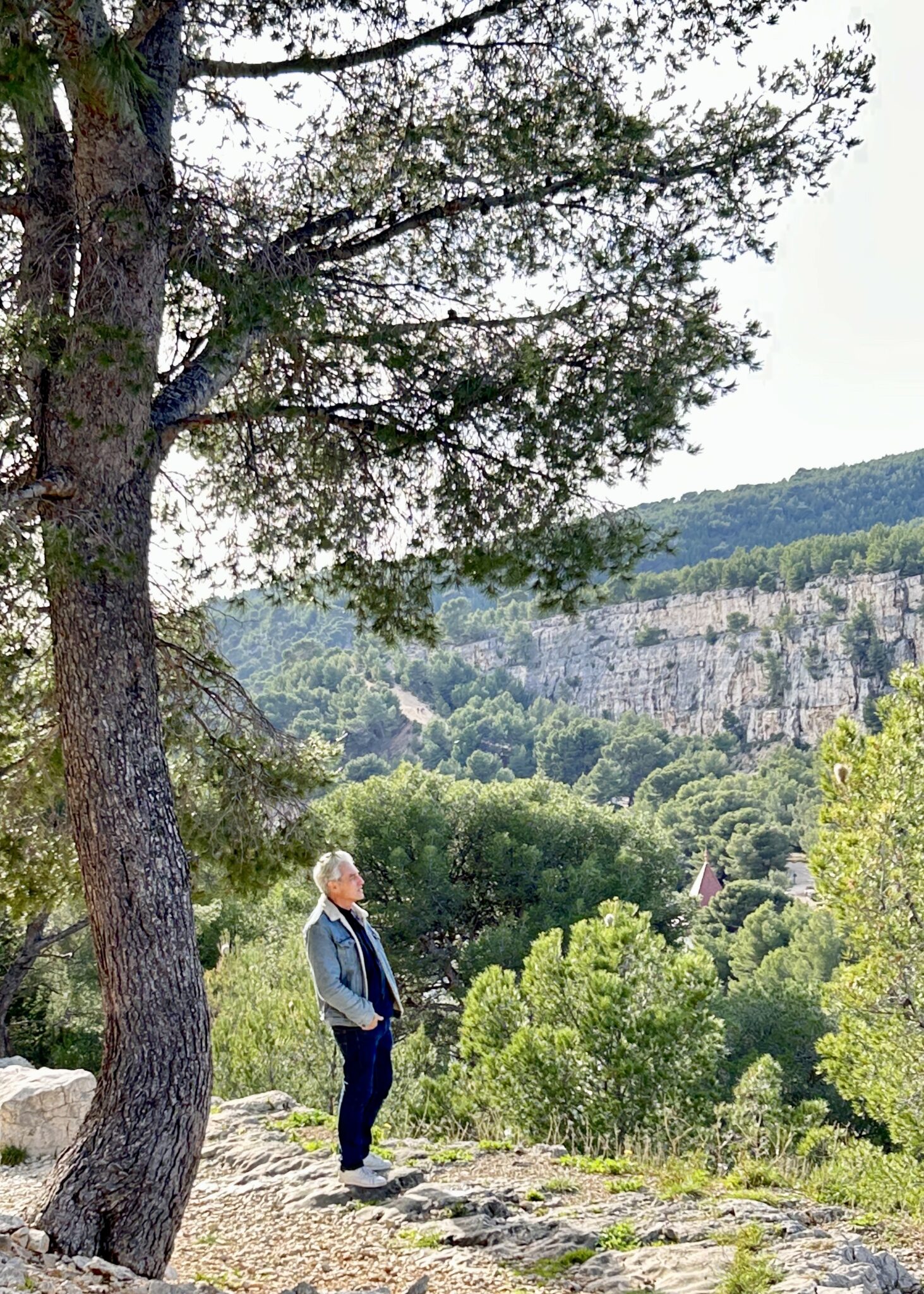 French la Vie - Stories Collected While Living in France