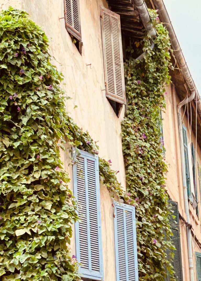 The Story of the Shutters - French la Vie