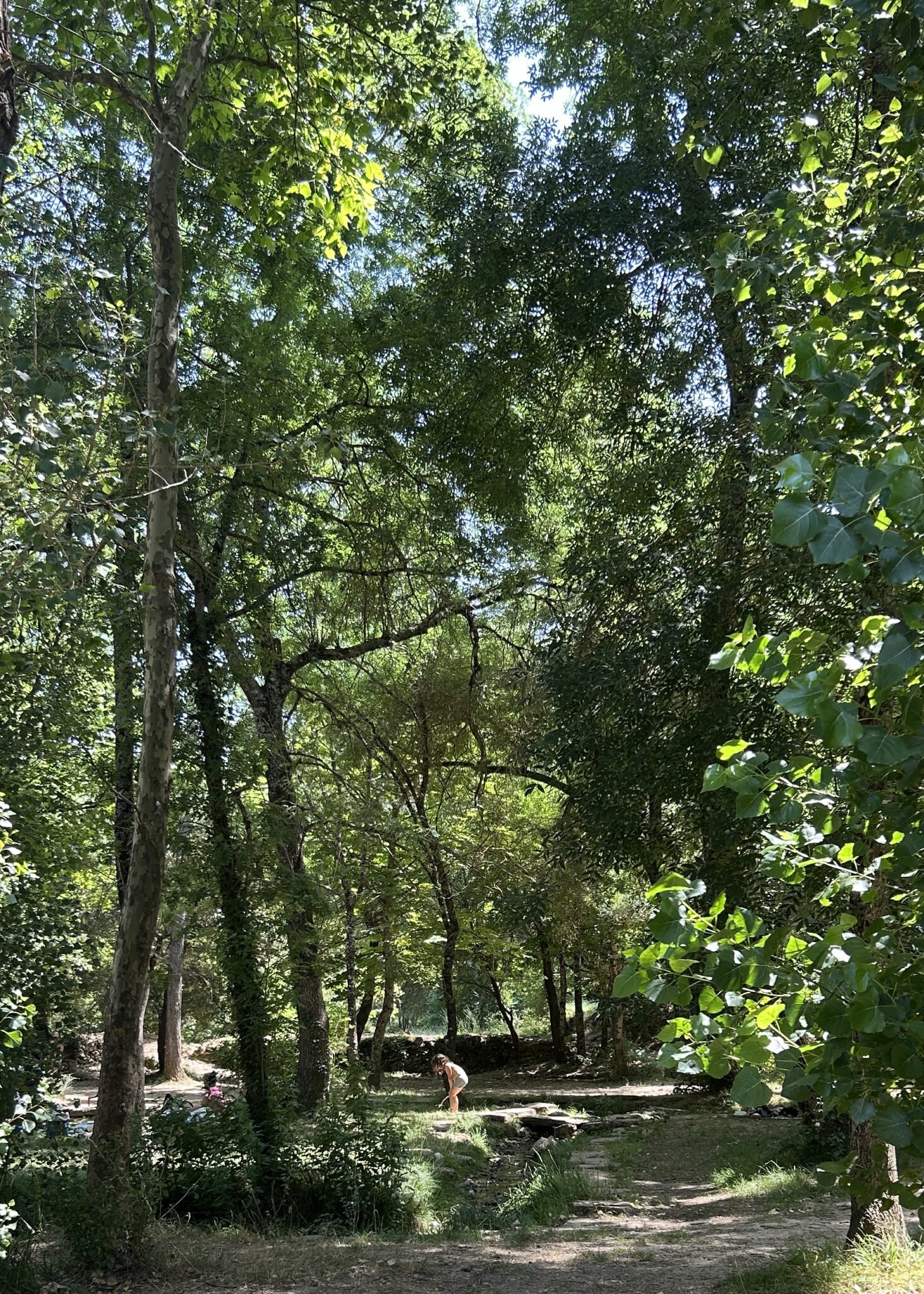 A Blistering Summer in Provence - French la Vie