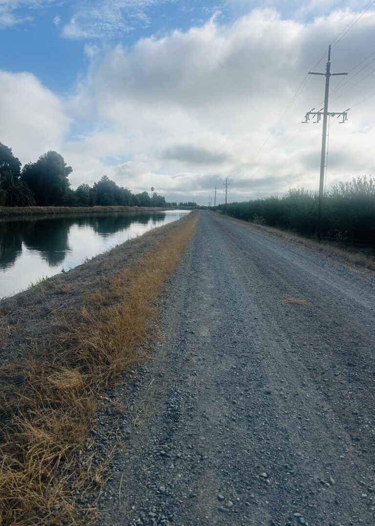 Daily Walk - French la Vie